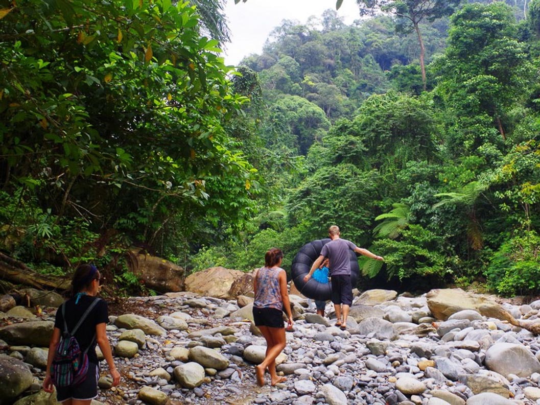 Tropical jungle tour in Sumatra - Mountain Homestays